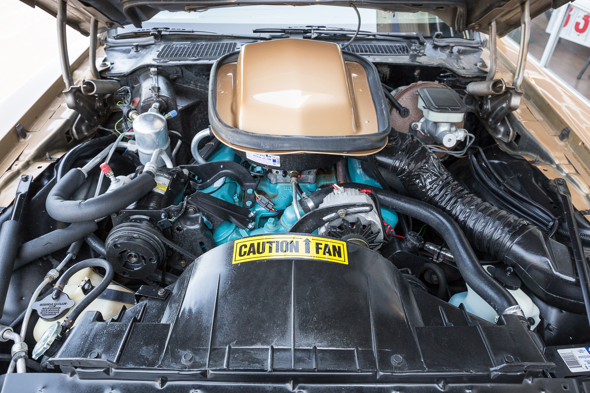 1981 Pontiac Trans Am | Fast Lane Classic Cars