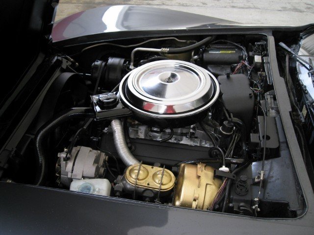 1981 Chevrolet Corvette | 1981 Chevrolet Corvette For Sale To Buy or ...