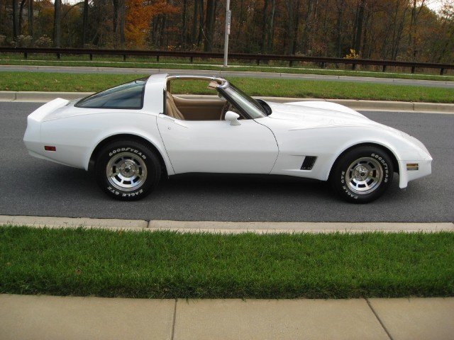 1981 Chevrolet Corvette | 1981 Chevrolet Corvette For Sale To Buy or ...