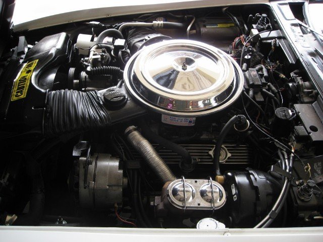 1981 Chevrolet Corvette | 1981 Chevrolet Corvette For Sale To Buy or ...