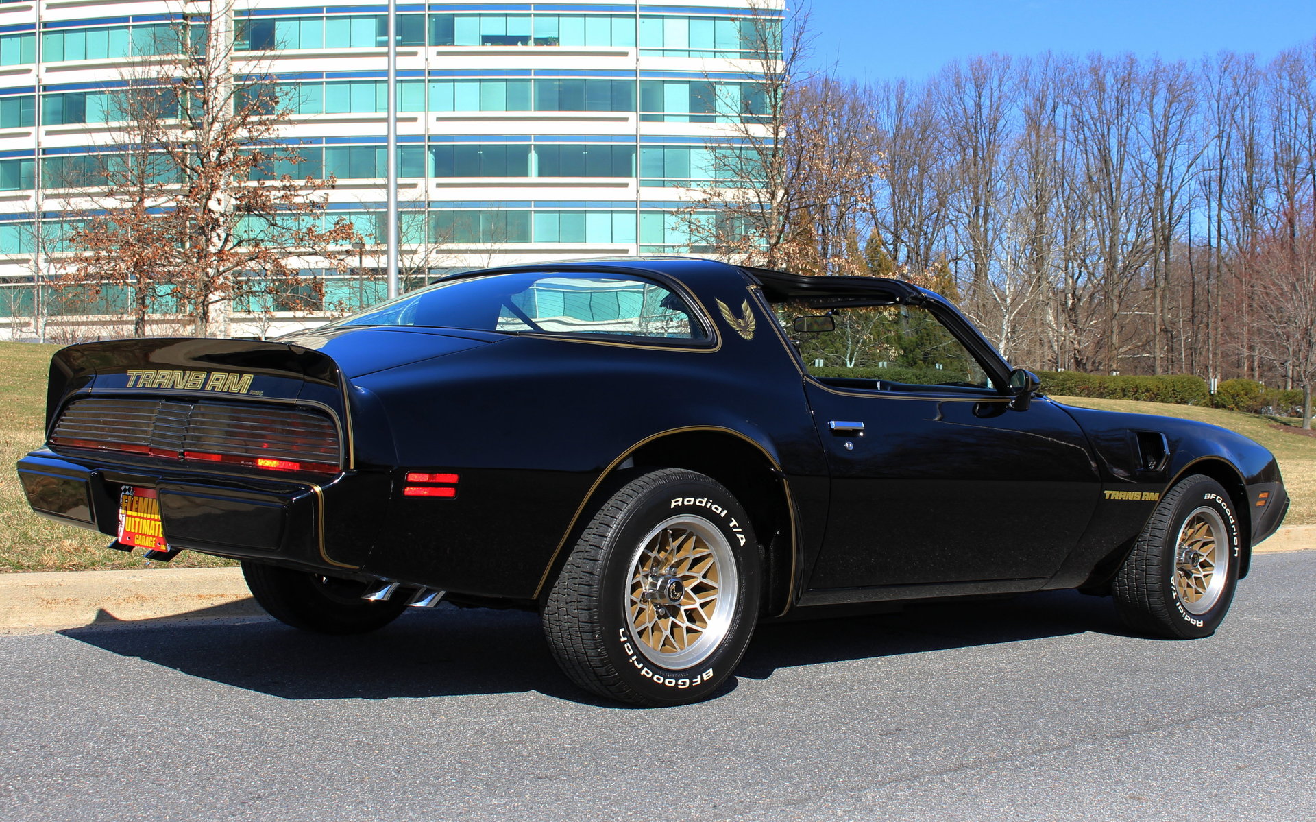 1979 Pontiac Trans Am Bandit for sale #77523 | MCG