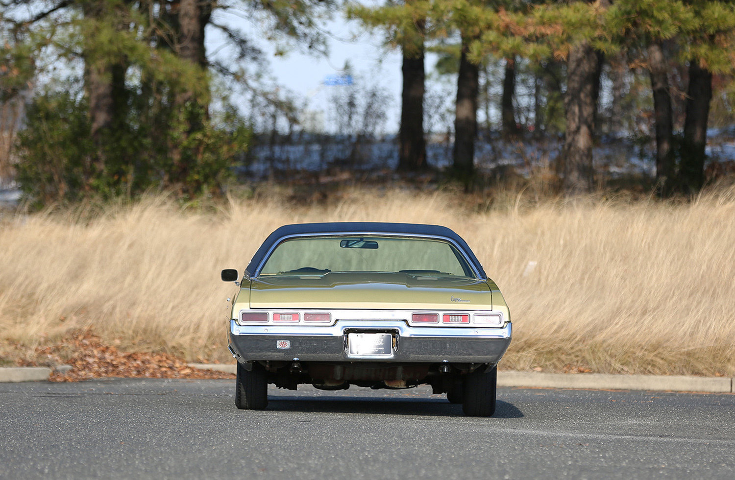 1971 Chevrolet Caprice | Future Classics