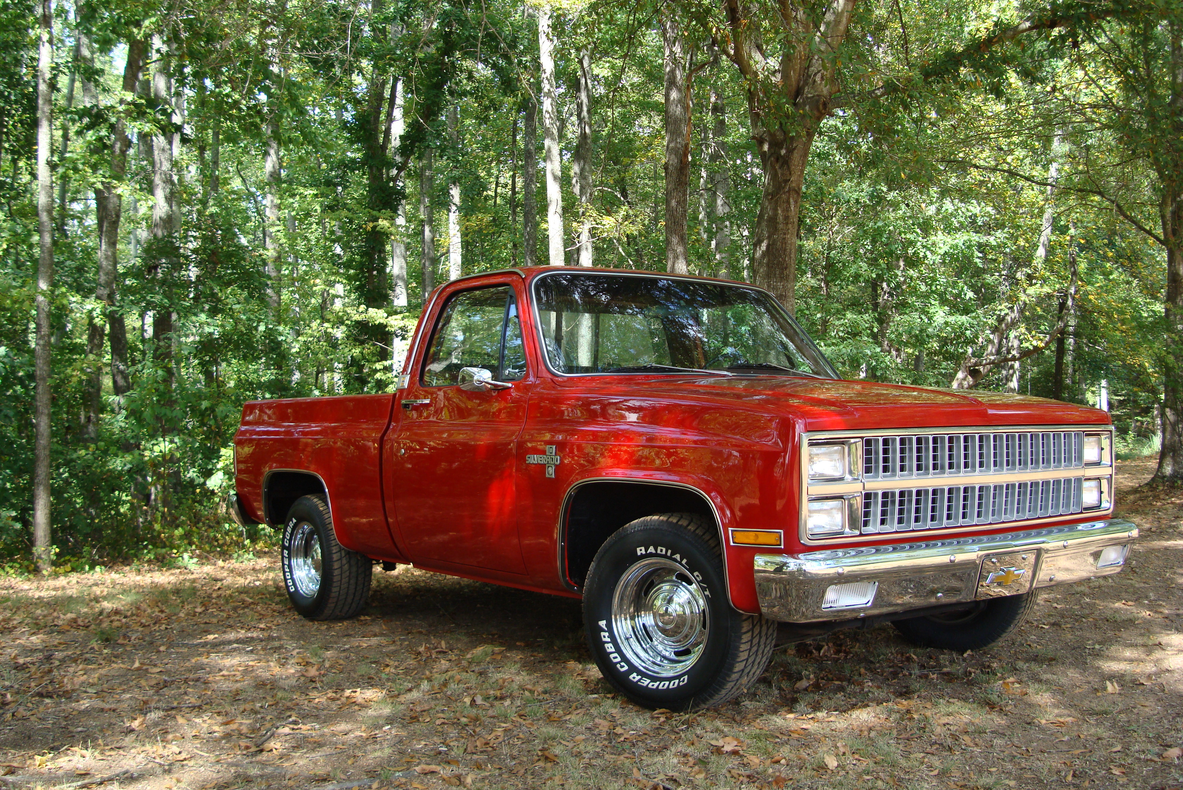 1981 Chevrolet Silverado | GAA Classic Cars