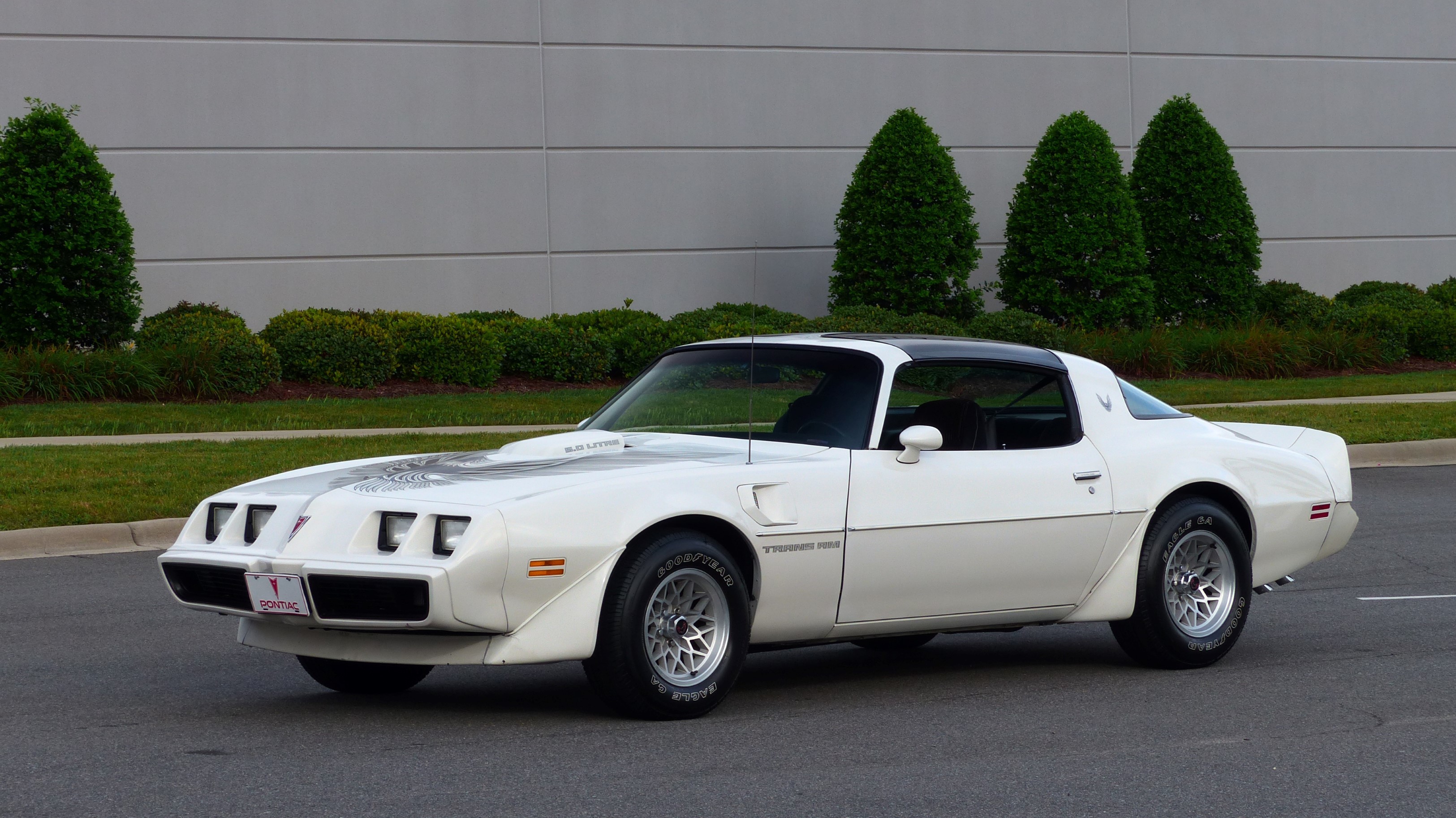 1981 Pontiac Trans Am | GAA Classic Cars