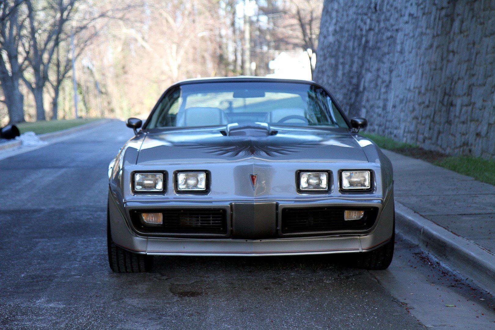1979 Pontiac Trans Am | Motorcar Studio
