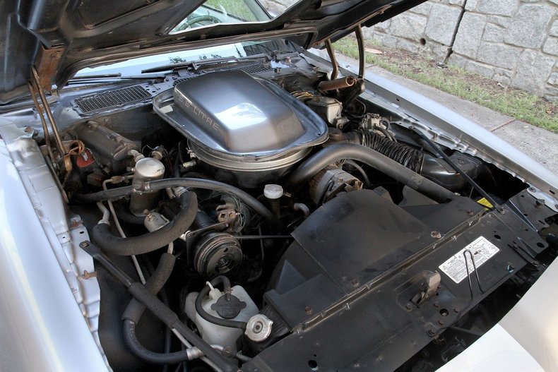 1979 Pontiac Trans Am | Motorcar Studio