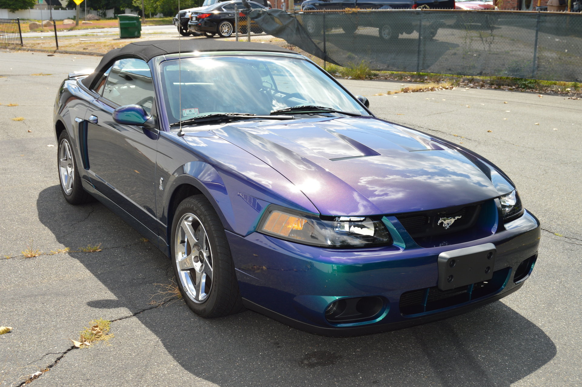2004 Ford Mustang Cobra | Mutual Enterprises Inc