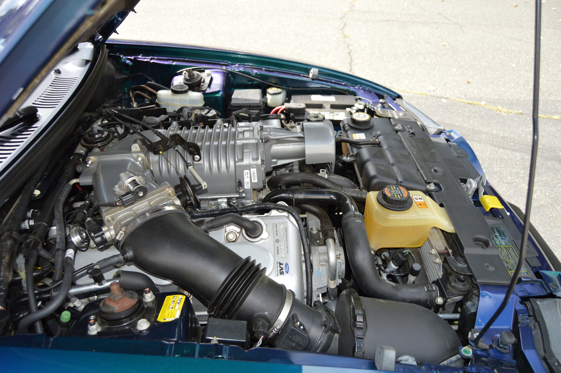 2004 Ford Mustang Cobra | Mutual Enterprises Inc