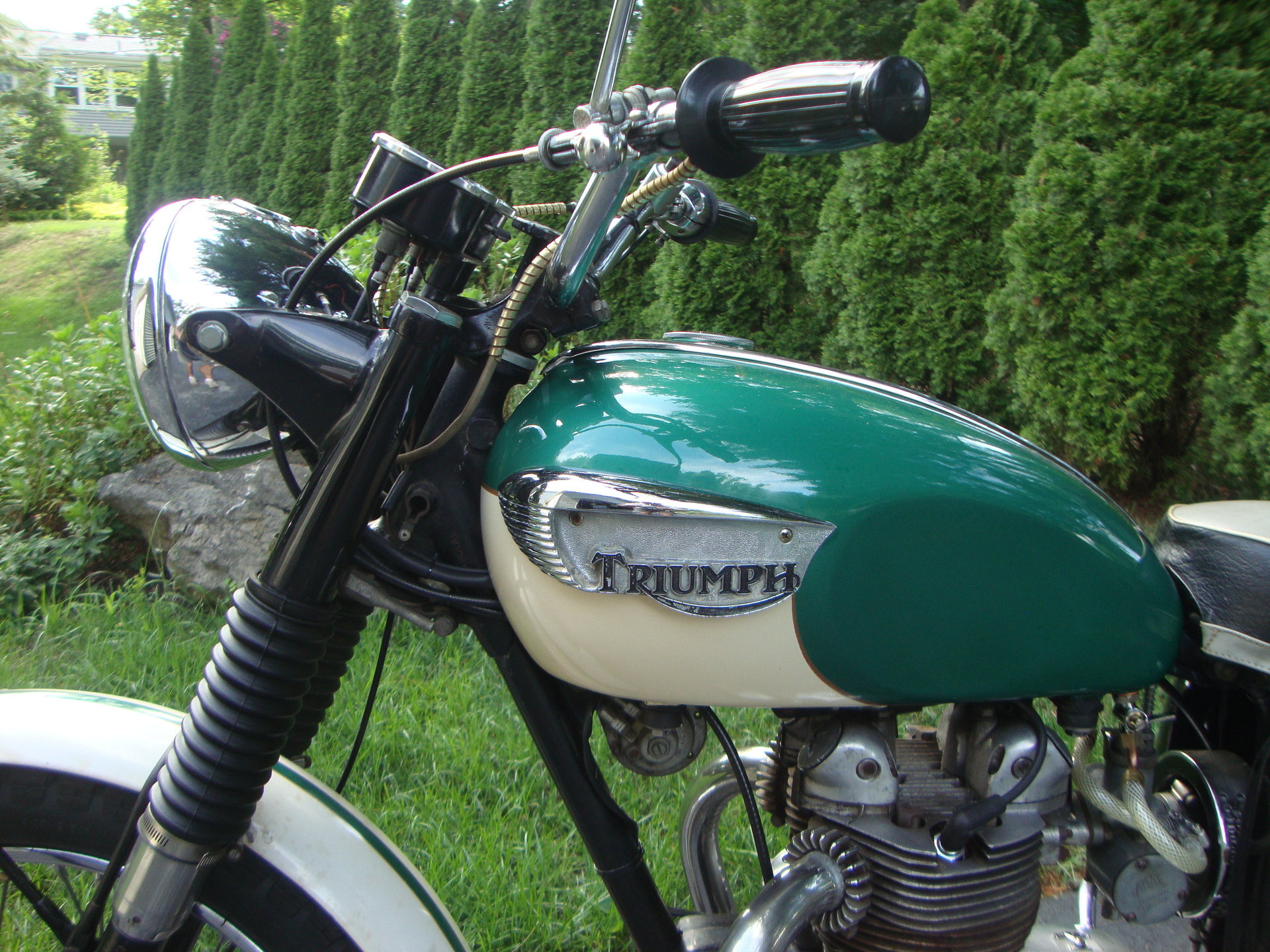 1967 Triumph Tiger Daytona T100R | Saratoga Auto Auction
