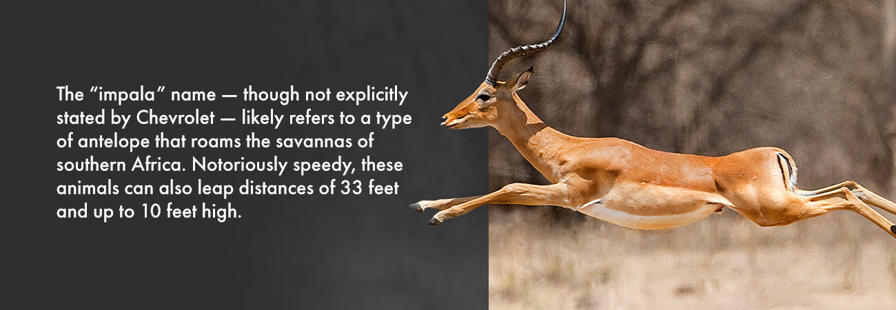 History of the Chevy Impala | Chevy Impala Guide