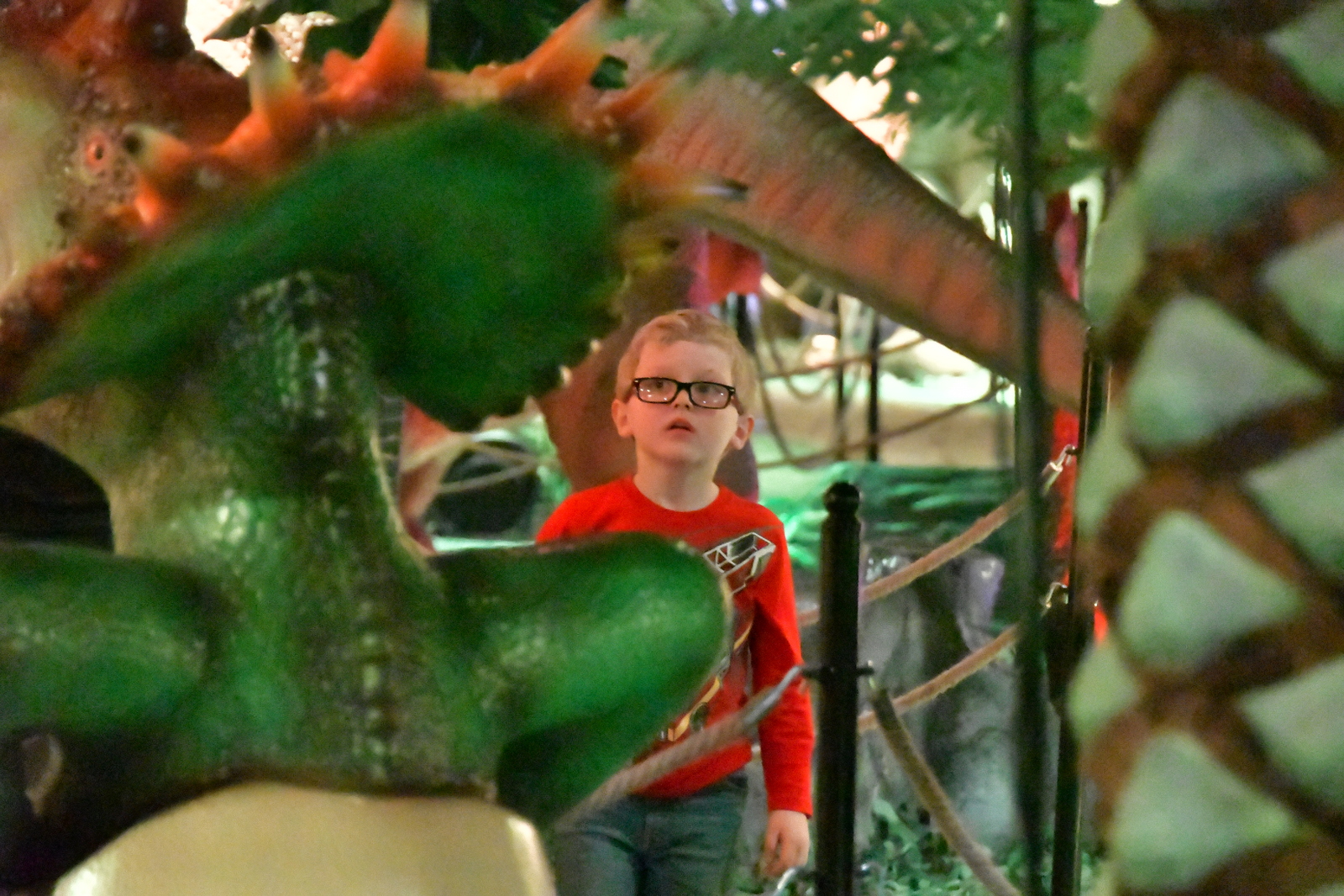 Explore Jurassic Gardens | Explore Jurassic Gardens | Volo Museum