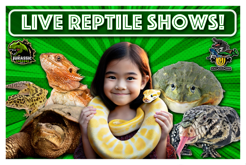 LIVE REPTILES NOW AT JURASSIC GARDENS! | LIVE REPTILES NOW AT JURASSIC ...