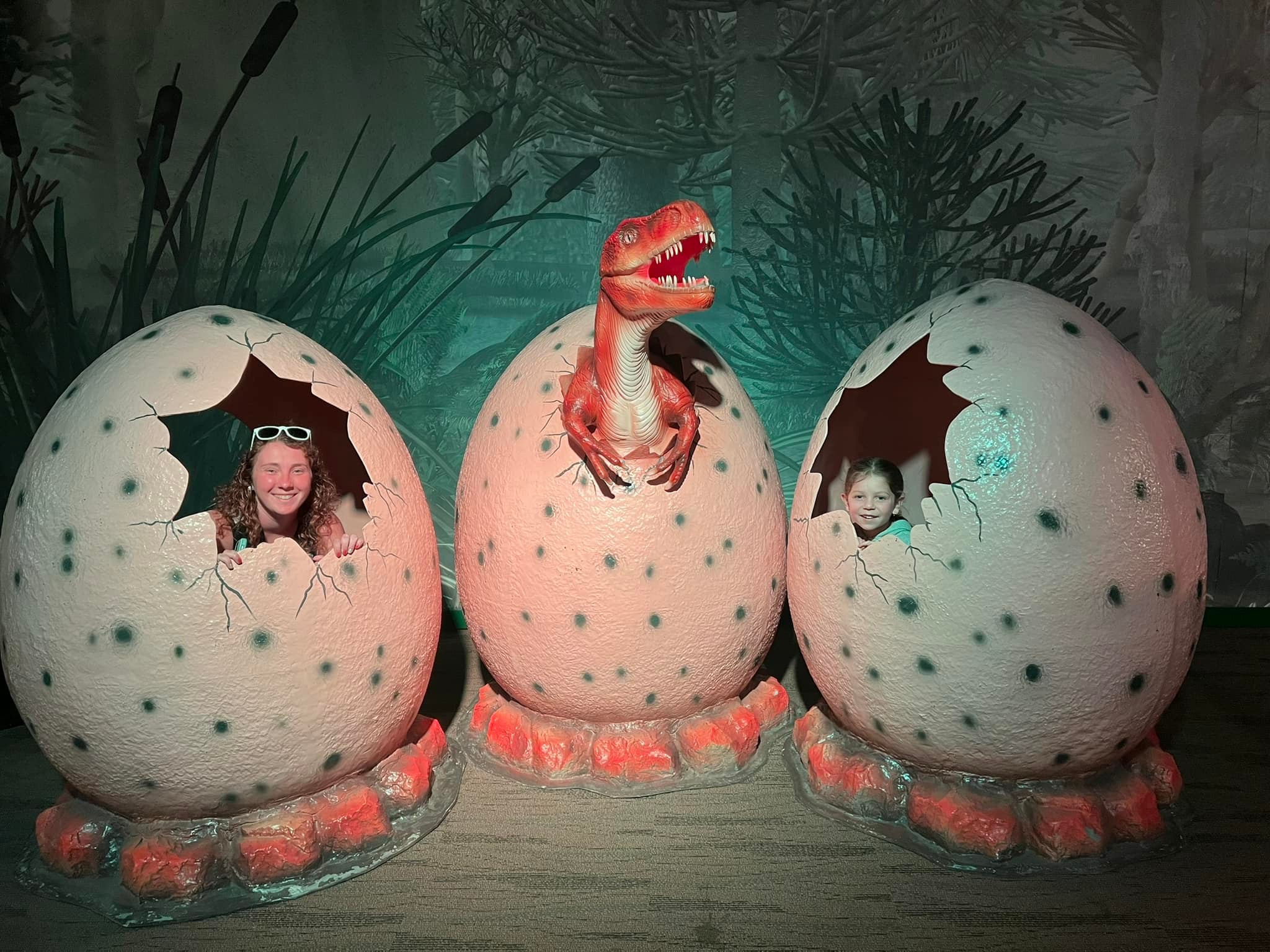 The Experience | The Experience | Volo Museum